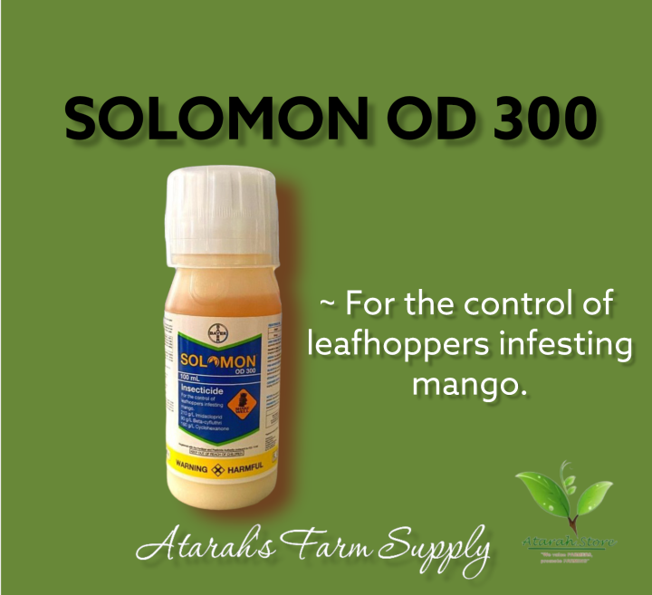 SOLOMON 300 OD Insecticide | Lazada PH