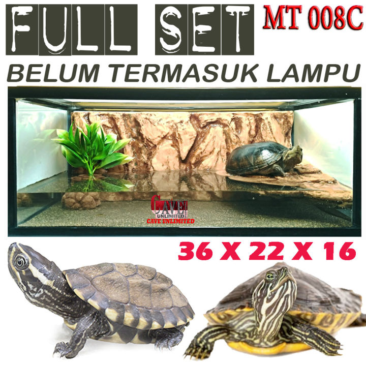 MT008C ISI SAJA TERRARIUM REPTILIA TURTLE RES BRAZIL CST AST DAMER KURA ...
