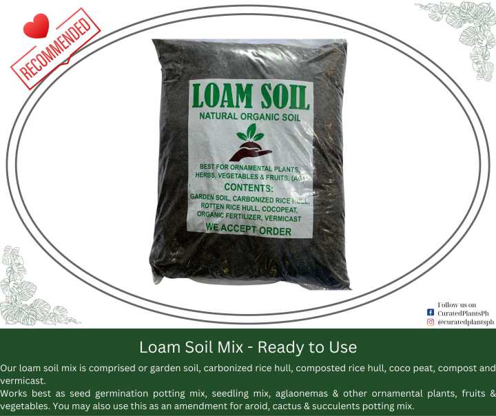 1 Kilo / 5 Kilo Loam Soil Mix by Curated Plants | Lazada PH