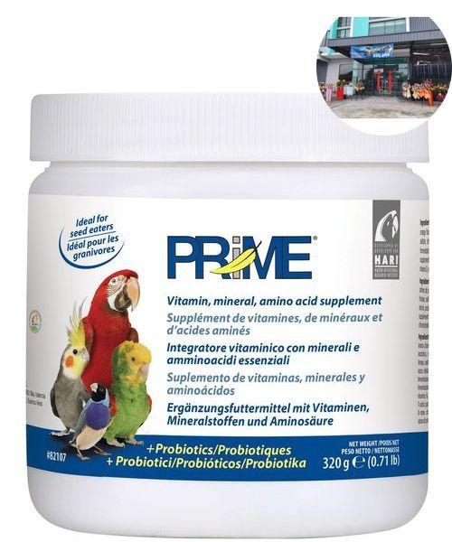 Prime Vitamin Supplement 400g | Lazada