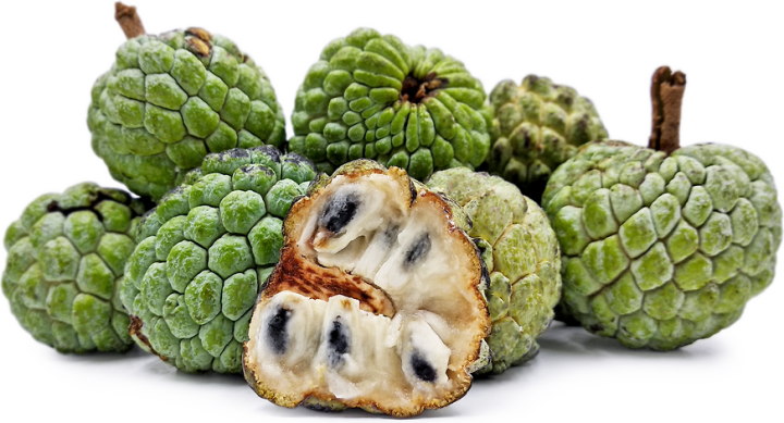 Sugar Apple Atis Seeds for Planting (3 seeds) FRUIT | Lazada PH