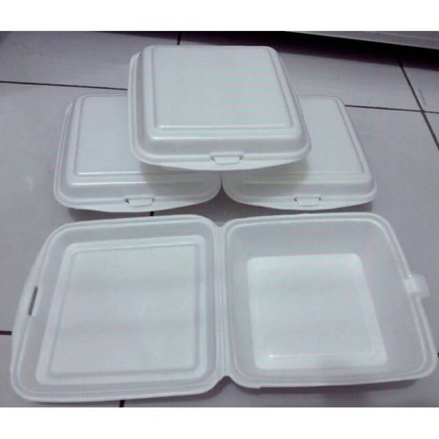 Styrofoam Polos [50 pcs] / Styrofoam Nasi Kotak / Styrofoam Nasi ...