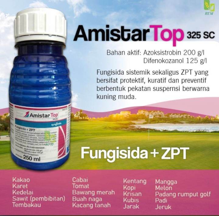 Fungisida SYNGENTA AMISTAR TOP 325SC 250ml | Lazada Indonesia