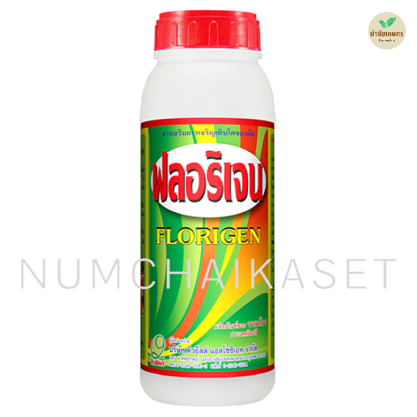 ฟลอริเจน(FLORIGEN) ปริมาณ 1 ลิตร สารเพิ่มประสิทธิภาพพืช | Lazada.co.th