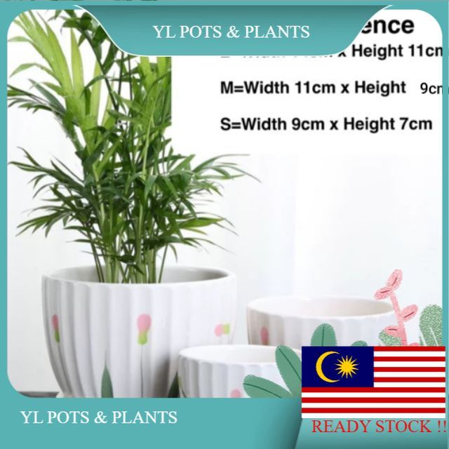 Ceramic Pot / Pot Kaca / A01 | Lazada