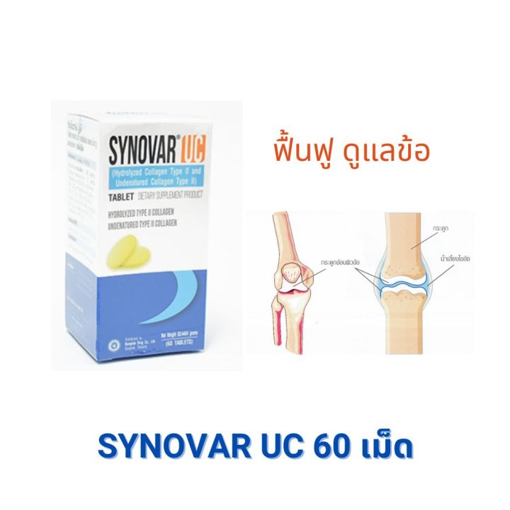 Synovar UC บำรุงข้อเข่า (🎁ของแถมทุกกล่อง) | Lazada.co.th