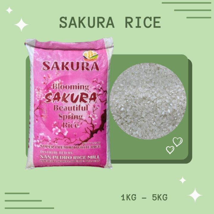 Sakura Japanese Rice (Sushi Rice) - 1KG to 5KG | Lazada PH