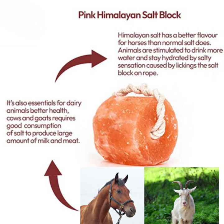 Natural Himalayan Salt Lick for Livestock - Mineral Block for Cattle ...