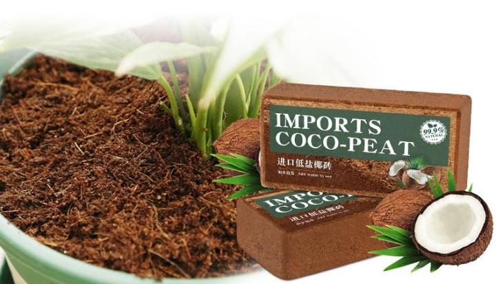 M&A 500g Organic Coconut Peat Brick Natural Coconut Dust 1/3/6pcs ...