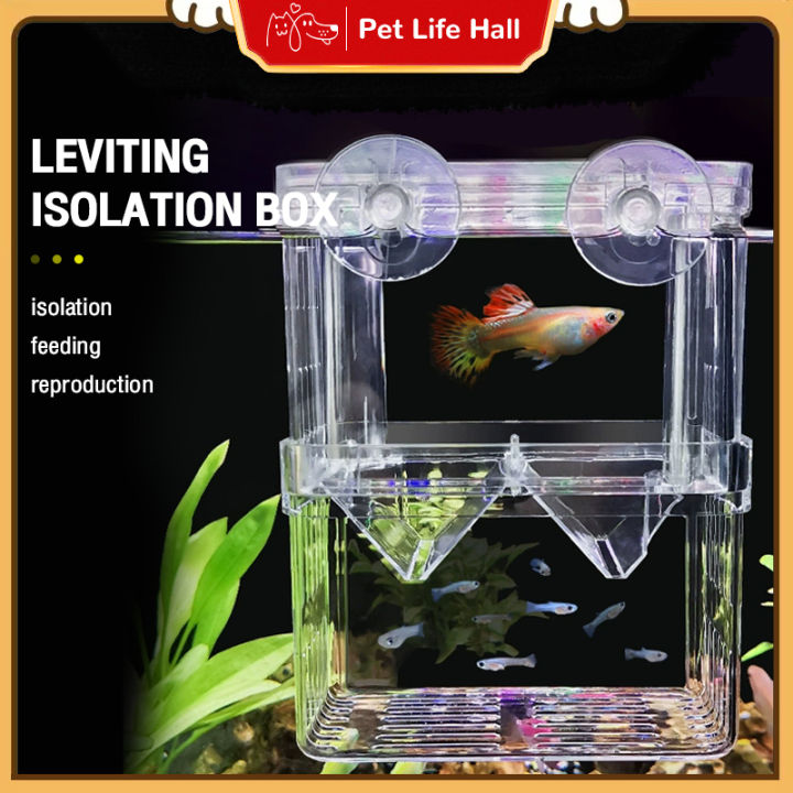 Isolation Box for Aquariums Isolation incubator Hatching box Acrylic ...