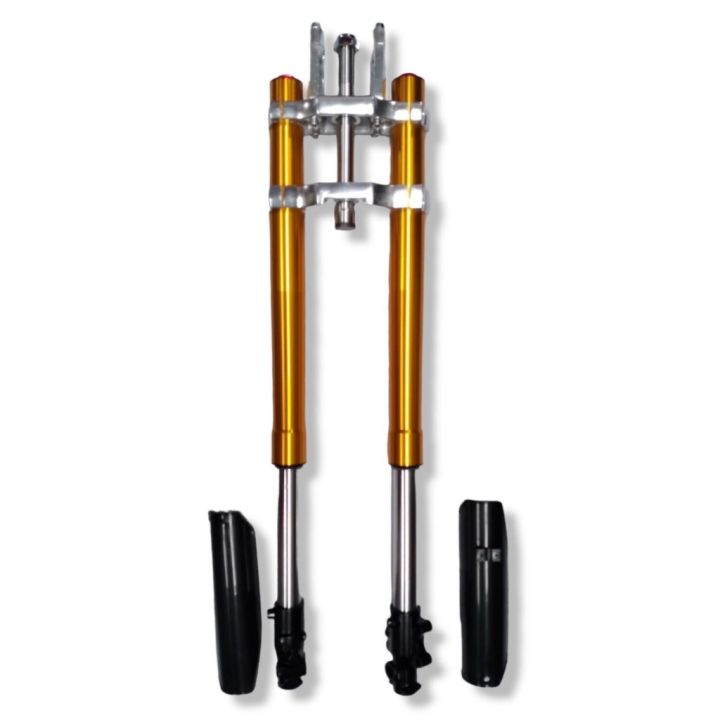 Front Shock Inverted | Lazada PH