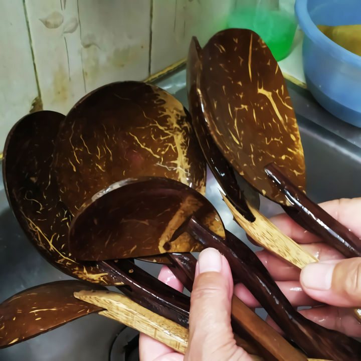 Irus Batok/ centong / sendok sayur bahan tempurung kelapa | Lazada ...