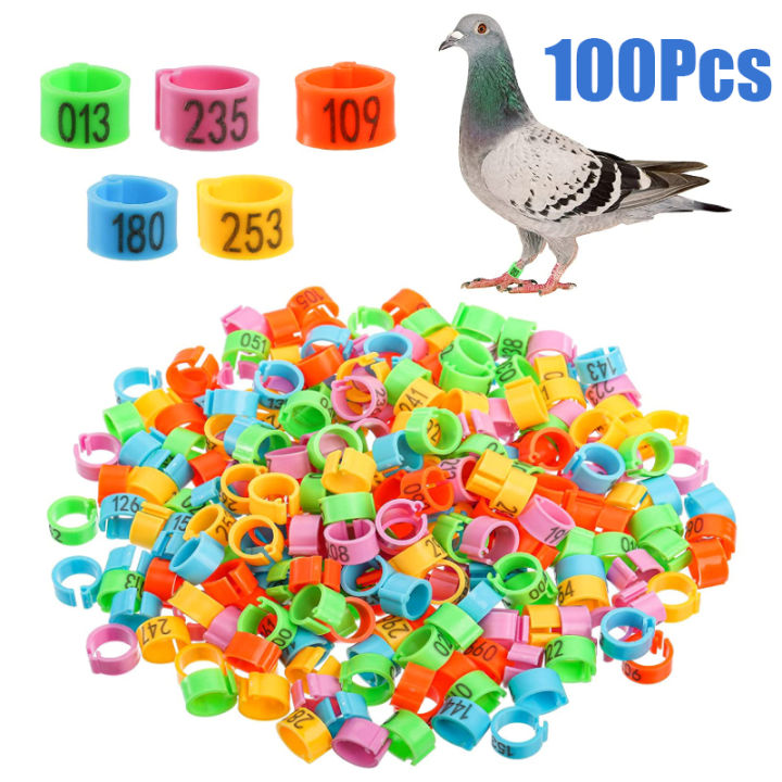 100Pcs Clip ring for pigeon 2024 Pigeon clip ring with number singsing ...