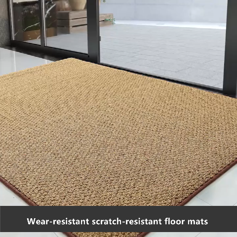 Modern Door Mat Anti-Slip Entrance Mat Abaca Rug Wear Resistant Non ...