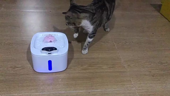 Water Dispenser Plastic Automatic Live Water Induction Flow Drinking ...