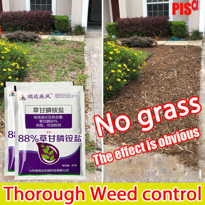 【Malay spot】Red magic racun rumput paling kuat Effective weed control ...