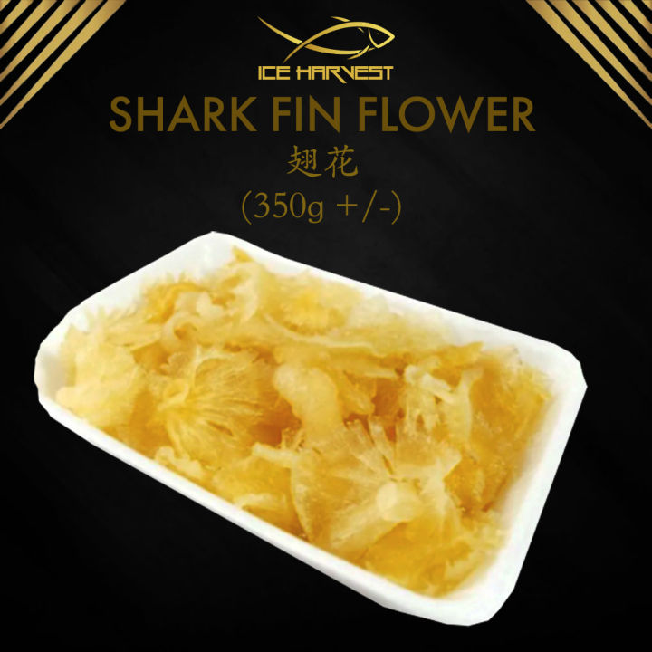 Shark Fin S 350gm Fin Flower Frozen 翅花 | Lazada Singapore