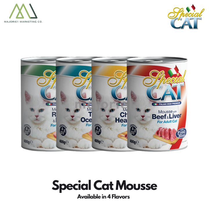 Special Cat Mousse Wet Cat Food in Can 400g | Lazada PH