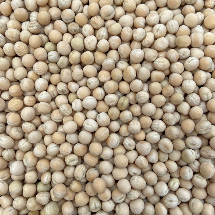 White peas, raw peas, dried peas with skins, whole grains, carrier ...