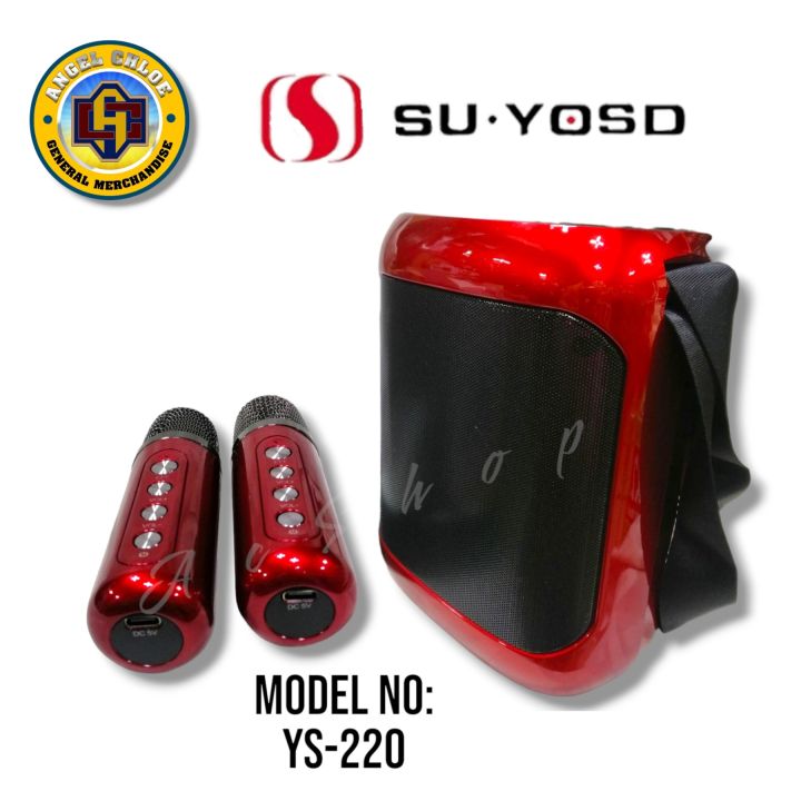 YS-220 PORTABLE BLUETOOTH KARAOKE Sound with Dual Microphone | Lazada PH