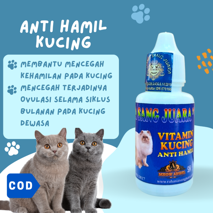 OBAT ANTI HAMIL KUCING MENCEGAH KEHAMILAN DAN PROSES OVULASI PADA ...