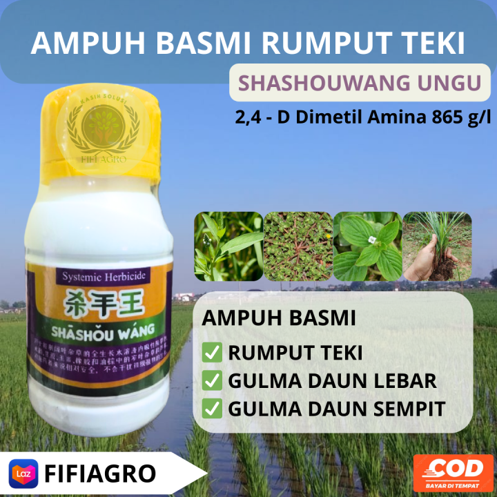Shashouwang Ungu Herbisida Sistemik Selektif Pembasmi Suket Teki Rumput ...
