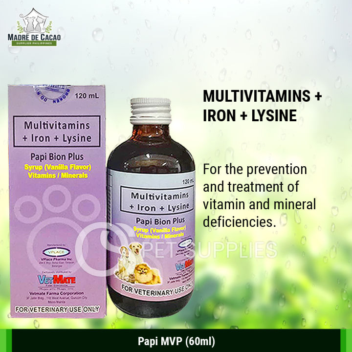 Papi Bion Plus Syrup Multivitamins + Iron + Lysine Vanilla Flavor ...