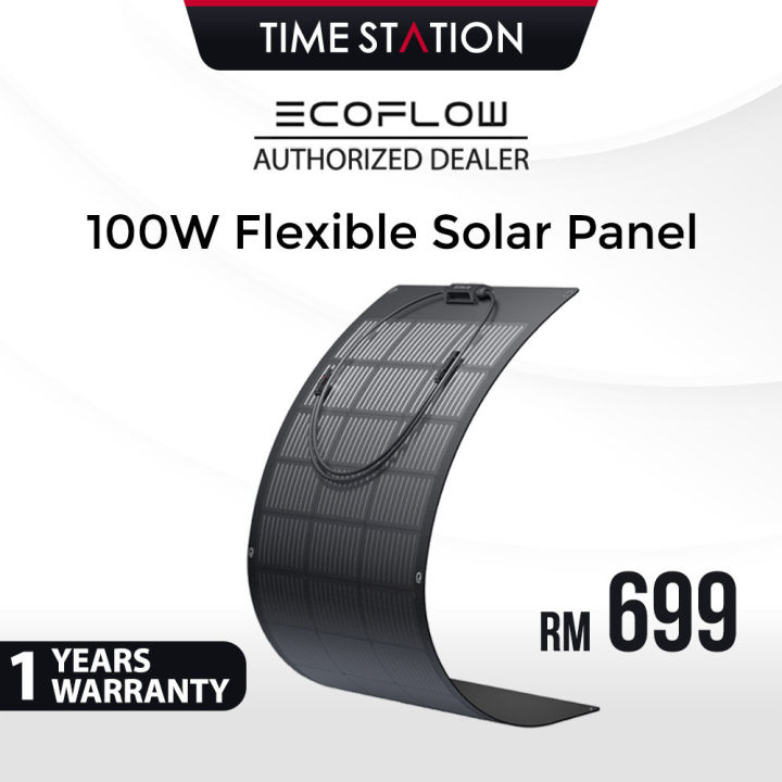 EcoFlow 100W Flexible Solar Panel with High Efficiency Solar Modules ...
