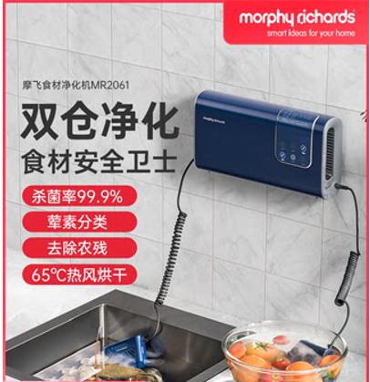 MORPHY RICHARDS Capsule fruit and vegetable purifier, food material ...
