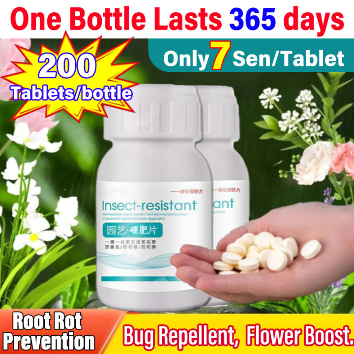 🌼2-in-1 Insecticide and Fertilizer🌼Pesticides for plants 200 tablets ...