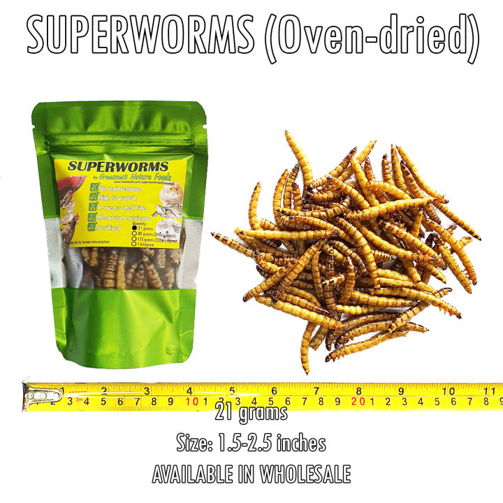 DRIED SUPERWORM Pet Food (GREENSECT) | Lazada PH