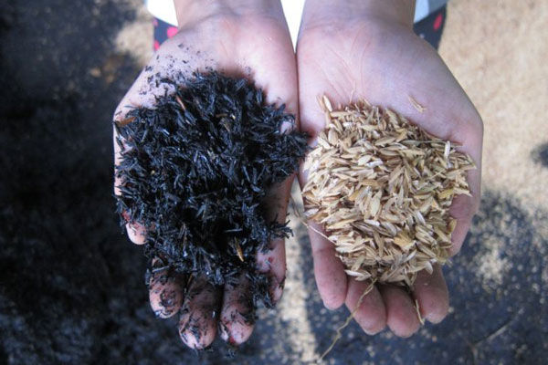 2kgs Carbonized Rice Hull or Rice Husk/ IPA NG PALAY l rice hull ...