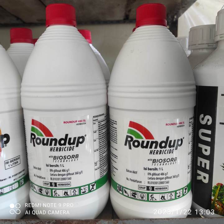 Herbisida Roundup 486 SL Kemasan Baru 1 Liter Pembasmi Rumput Liar ...