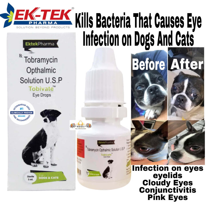 Ektek Pharma Tobivate Eye Drops For Dogs And Cats | Lazada PH