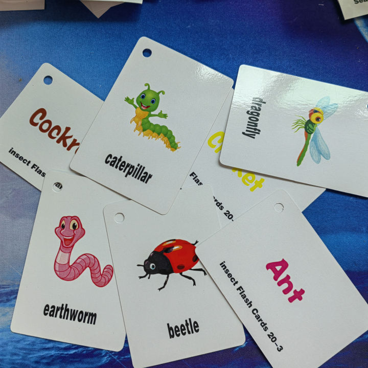 English Learning Flash Cards Toy Animal Number Shape Color ABC Letter ...