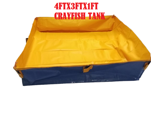 Azolla pond fish tank, crayfish tank, pang umpisa, 4x3x1ft pang ...