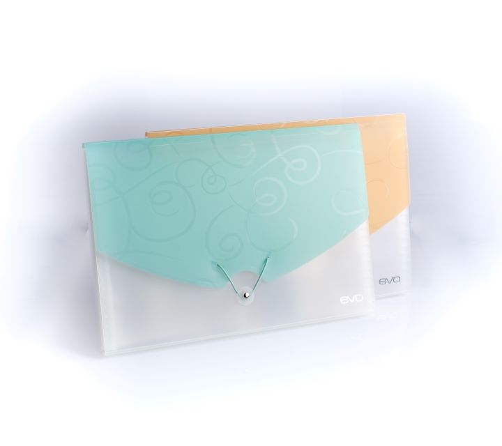 Evo FC (Long) Expanding File (prints) | Lazada PH