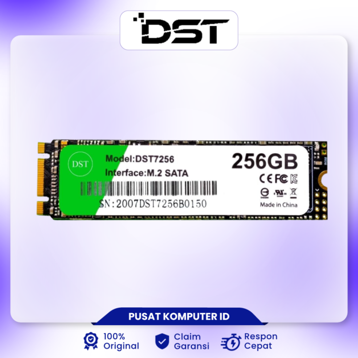 DST SSD m.2 SATA 128GB, 256GB | Lazada Indonesia