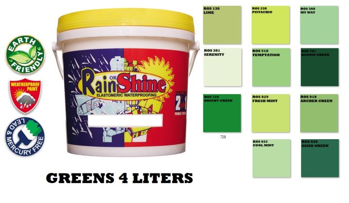RAIN OR SHINE COLORS GREEN PAINT 4 LITERS | 1 GALLON | ELASTOMERIC ...
