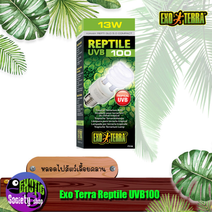 หลอดเกลียว Exo Terra REPTILE UVB 100 13 w. | Lazada.co.th