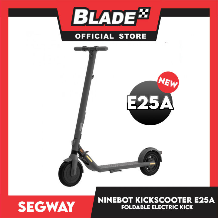 Segway Ninebot E25A Electric Kickscooter -Foldable Scooter & Electric ...