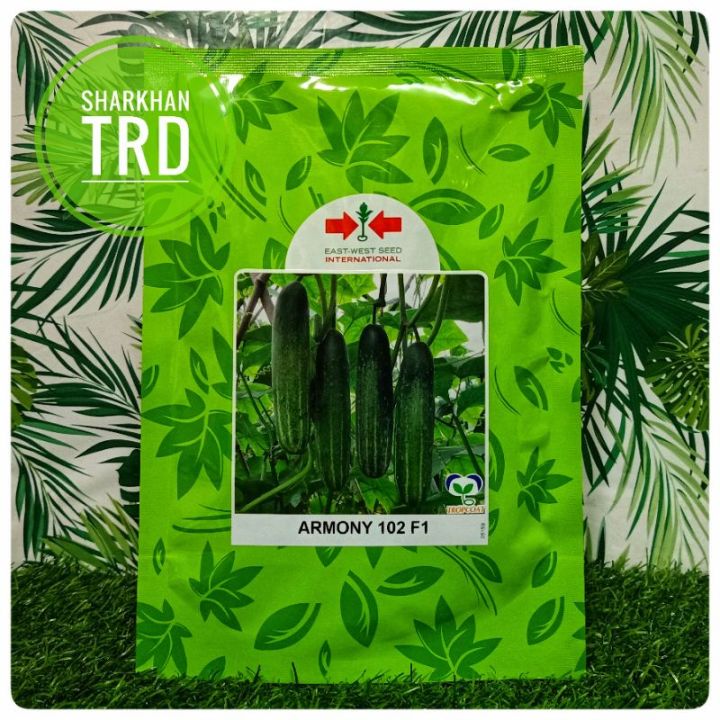 Paket 100g (3200biji) ARMONY 102 F1 Biji Benih Timun Batang Panjang F1 Hybrid Cucumber Seeds ...