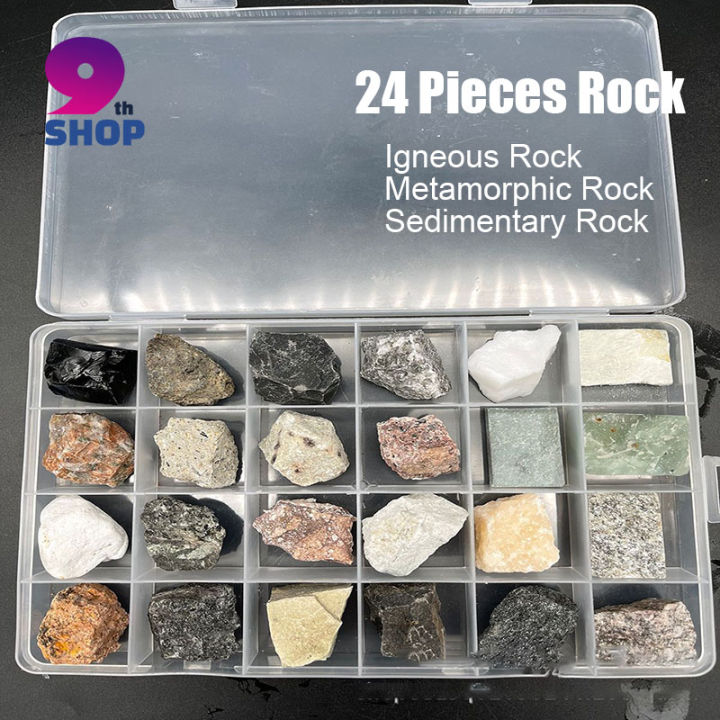 24 Piece Rock Collection Stone Sample Rock Specimen Including Three ...