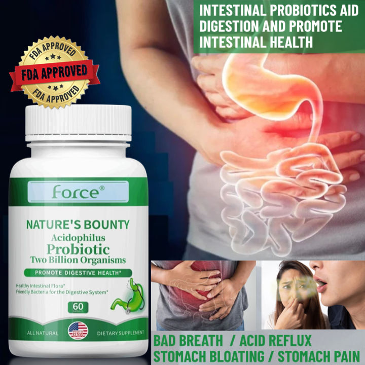 Intestinal probiotics, digestive enzymes | Help digestion | Promote ...