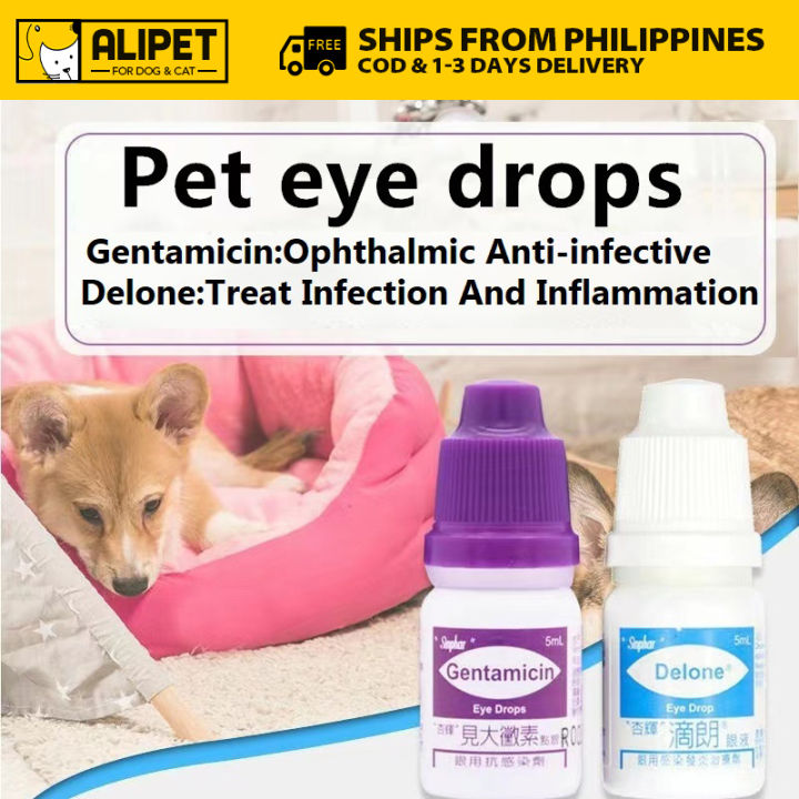 Gentamicin Dogs and Cats Eye Drops To Remove Tear Stains Remove Eye ...