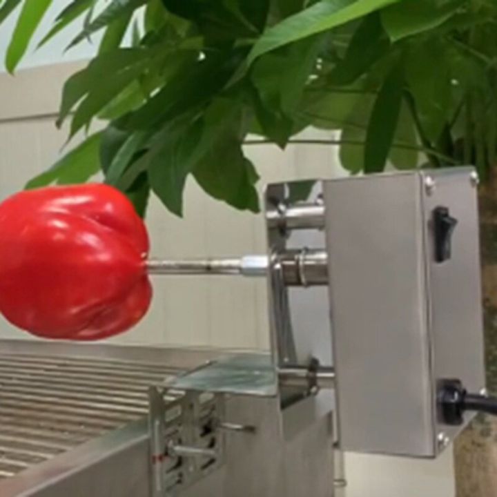 Yoqu Rotating Motor BBQ Rotisserie Rotating Motor Eletric Grill ...