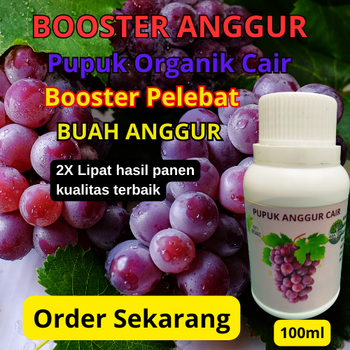 Pupuk Booster Pelebat Buah Anggur / Pupuk Pertumbuhan Buah Anggur ...