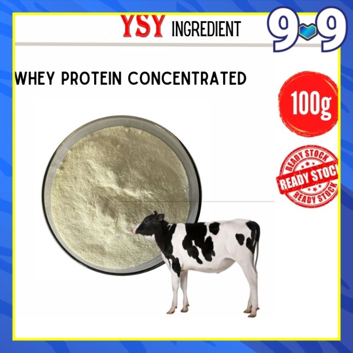 Whey protein concentrate powder High Protein Muscle builder Serbuk ...