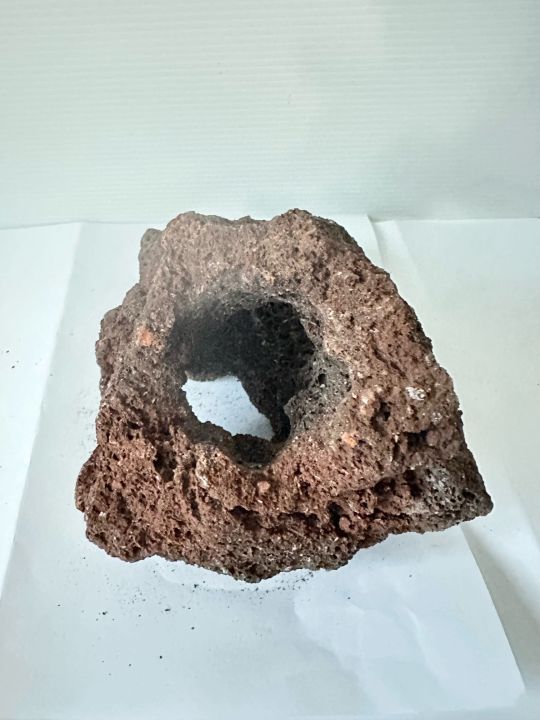 (SG stocks) Natural Lava Rocks with unique shapes Caves and Holes for ...