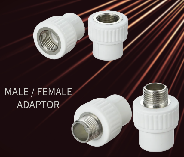 PPR FITTINGS: MALE AND FEMALE ADAPTOR - durable PN25 | Lazada PH